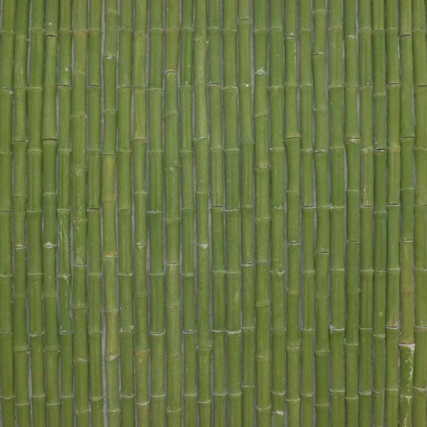 Piedra Laja – Rock & Stone